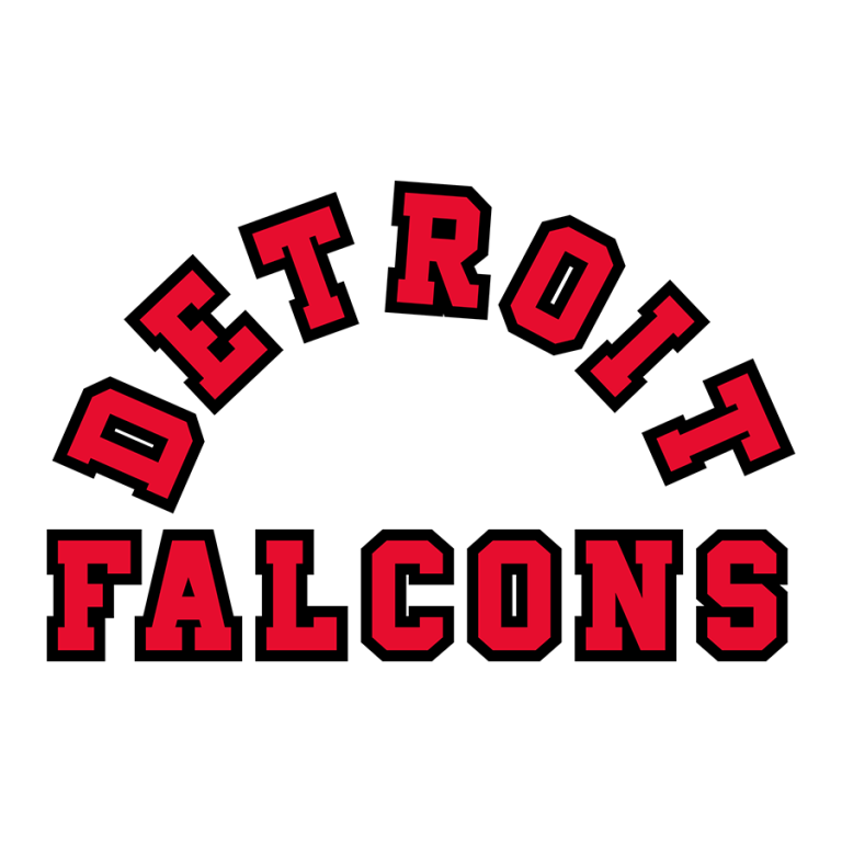 On the Yellow Detroit Falcons Logo, or How I Helped Break Red Wings ...