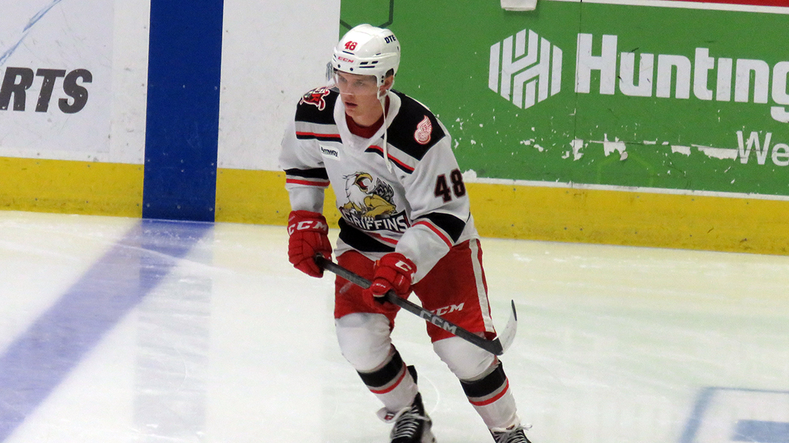 Belated End of Season Thoughts – MotownRedWings.com